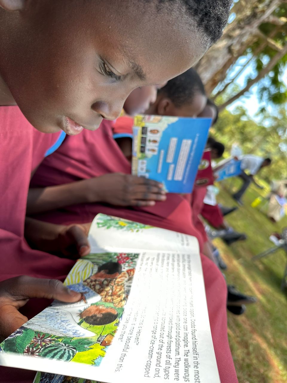 A Practical Guide to Creating a Reader-Friendly Home Environment